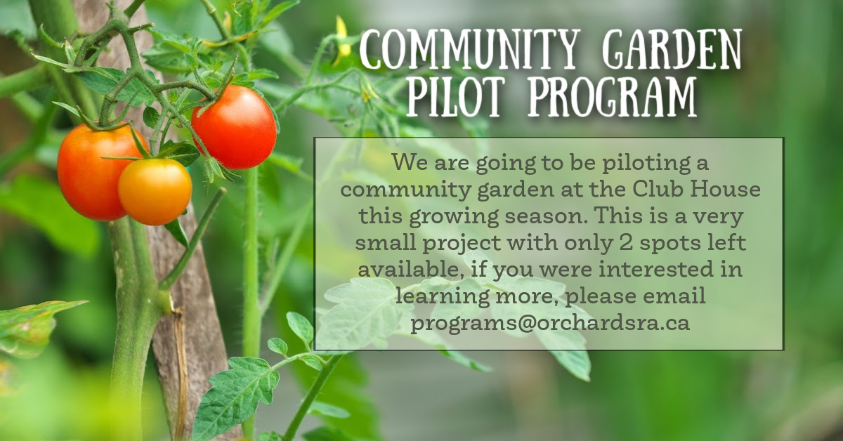 Community Garden Pilot Program – The Orchards