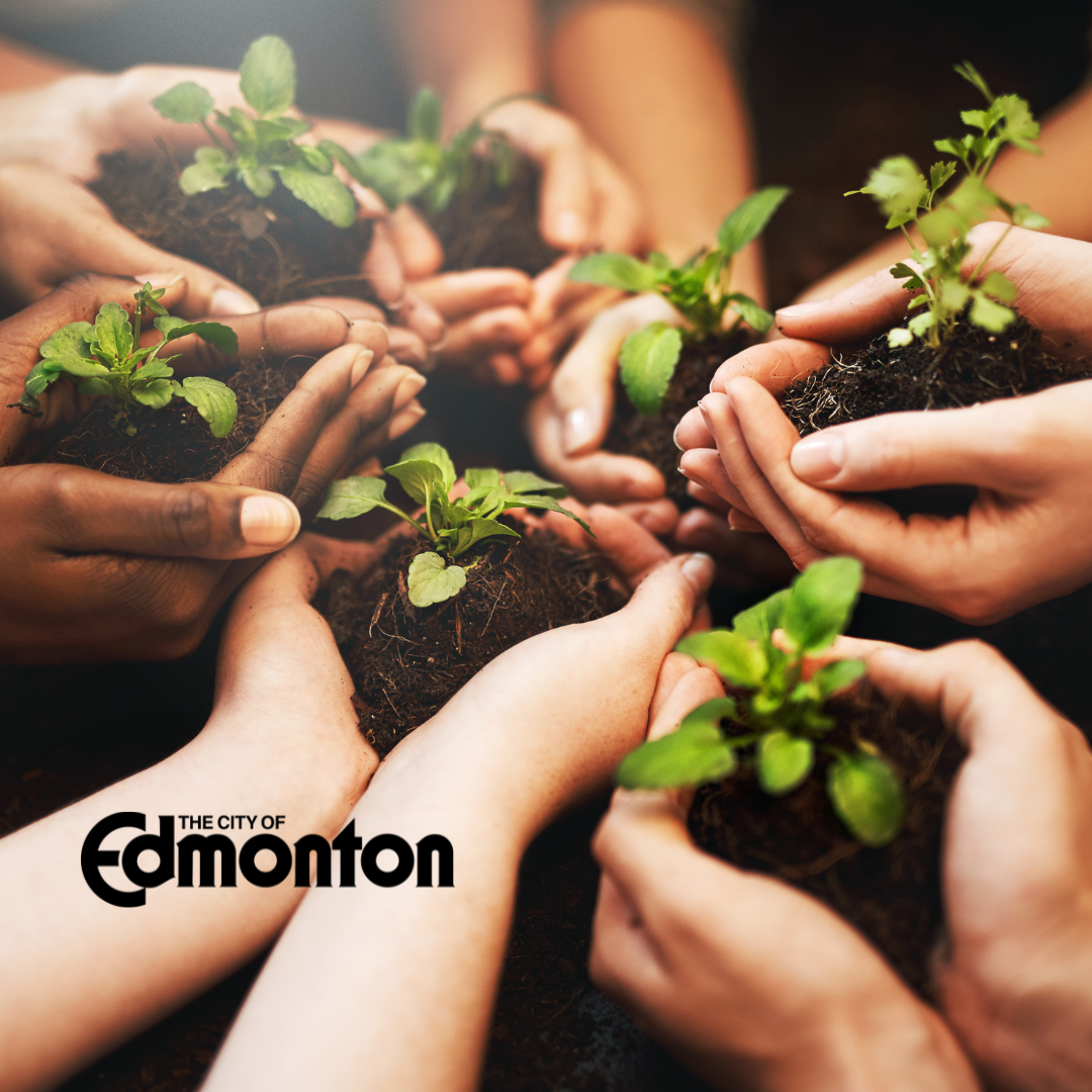 Events – The Orchards